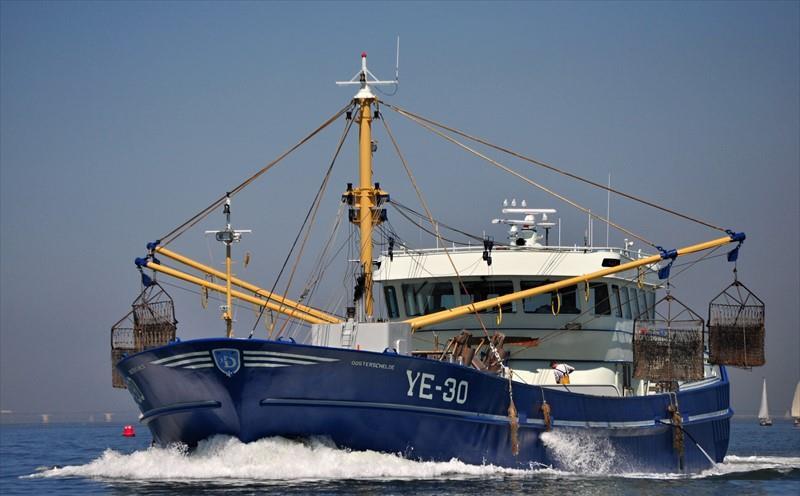 NOOITGEDACHT - Vesseljoin