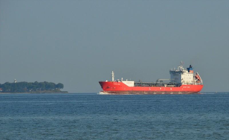 CORAL IVORY - Vesseljoin