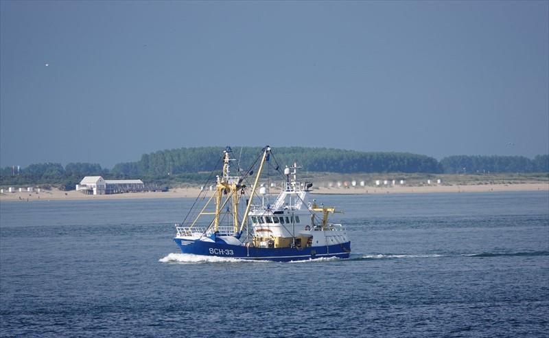 TEMPUS FUGIT - Vesseljoin