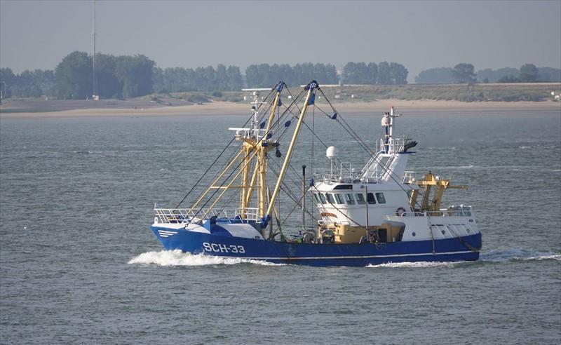 TEMPUS FUGIT - Vesseljoin