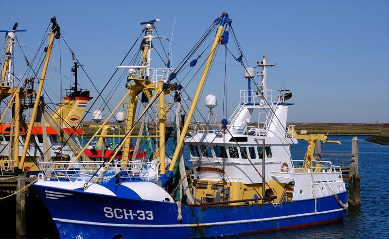 TEMPUS FUGIT - Vesseljoin