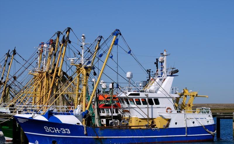 TEMPUS FUGIT - Vesseljoin