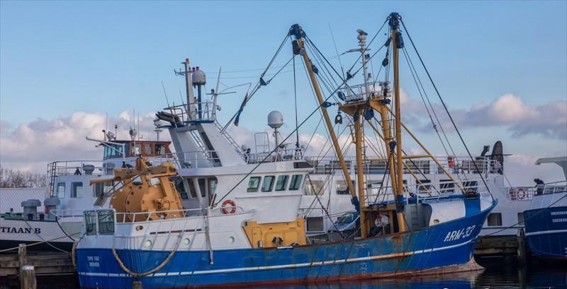 TEMPUS FUGIT - Vesseljoin