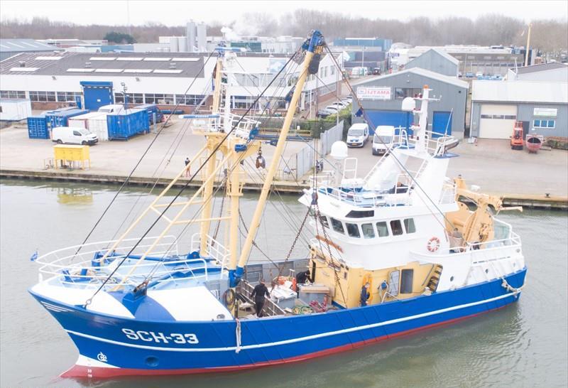 TEMPUS FUGIT - Vesseljoin