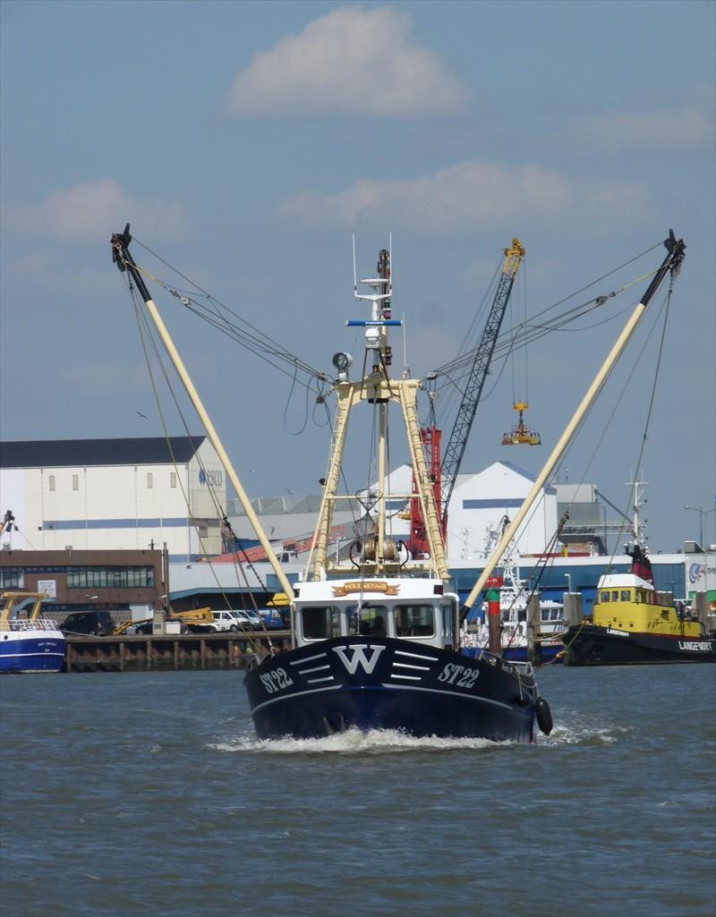 ST22 PEKE SENIOR - Vesseljoin