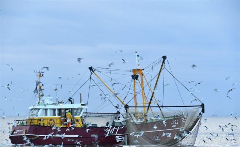 TS2 SVEN - Vesseljoin