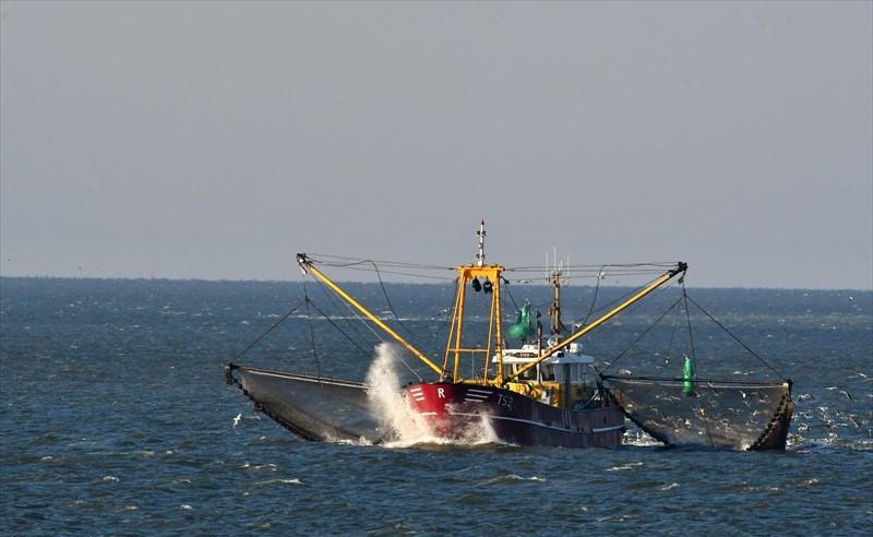 TS2 SVEN - Vesseljoin