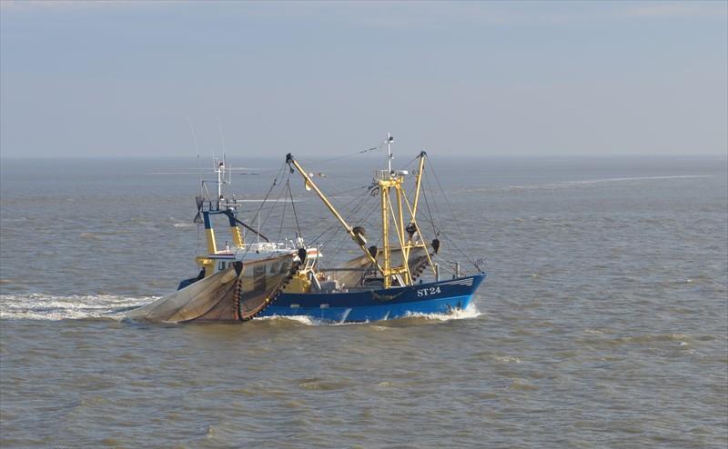 TS2 SVEN - Vesseljoin