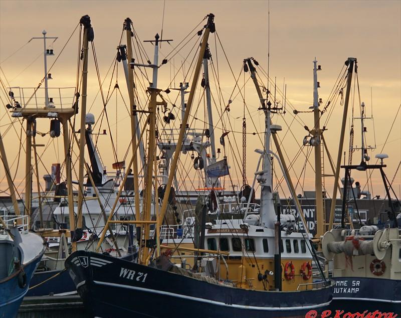 MARRY AN - Vesseljoin