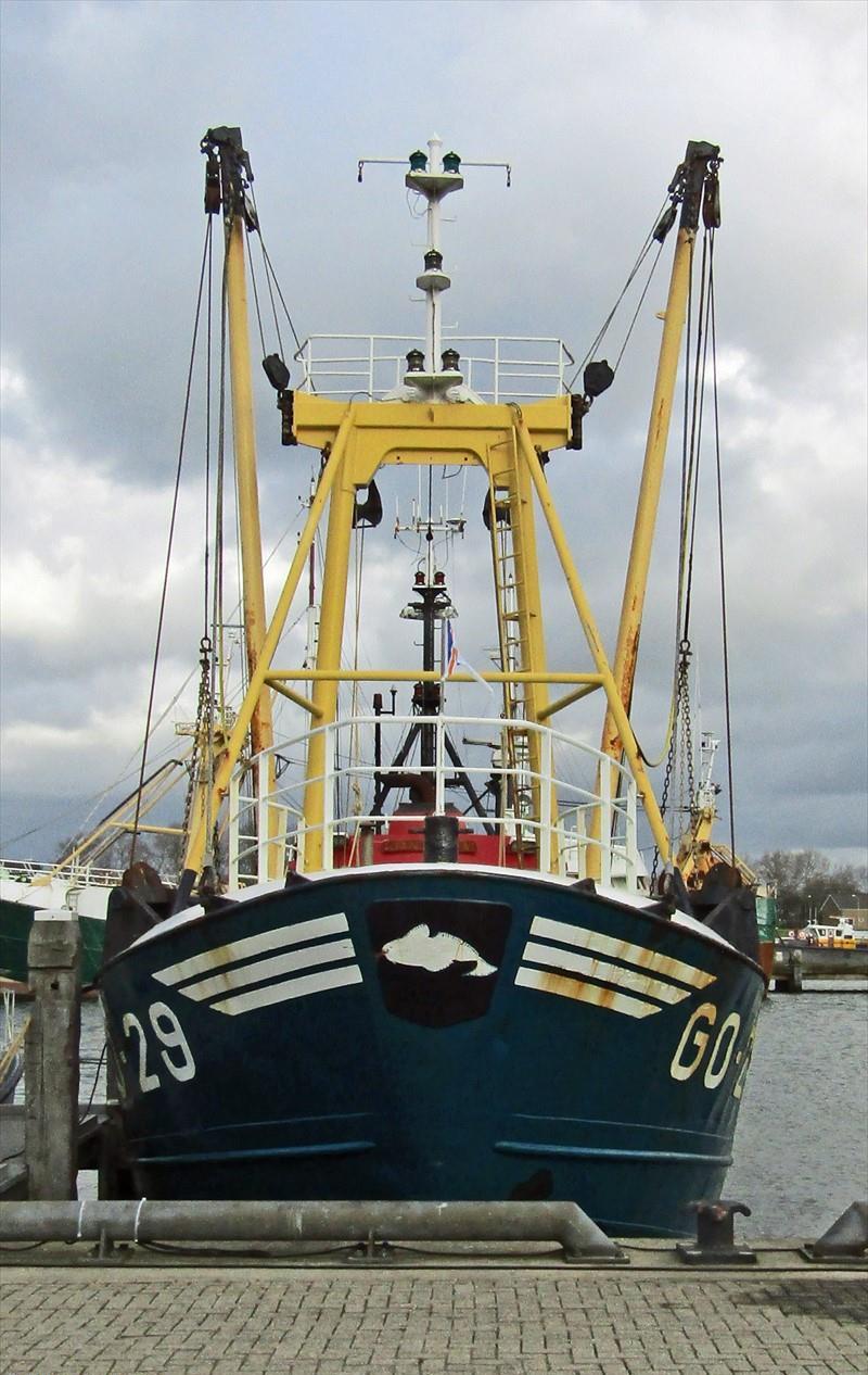 GO 29JAN MARIA - Vesseljoin