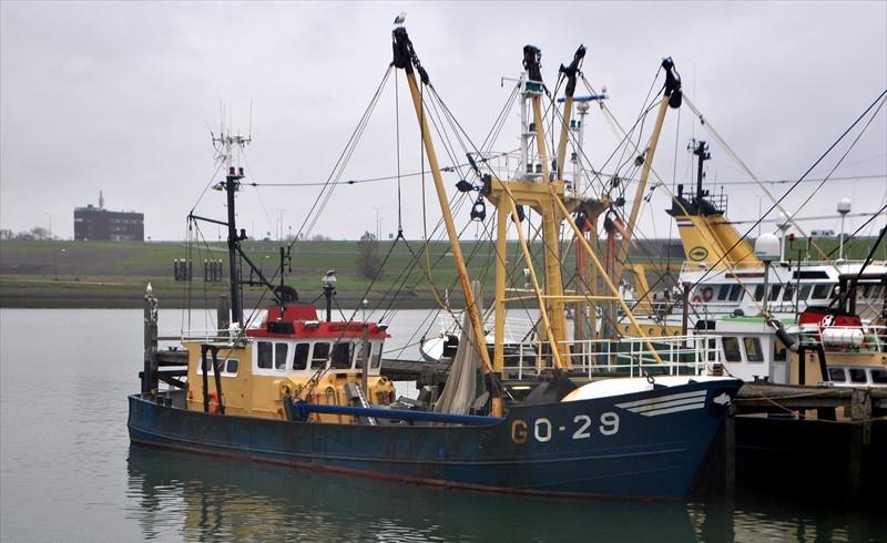 GO 29JAN MARIA - Vesseljoin