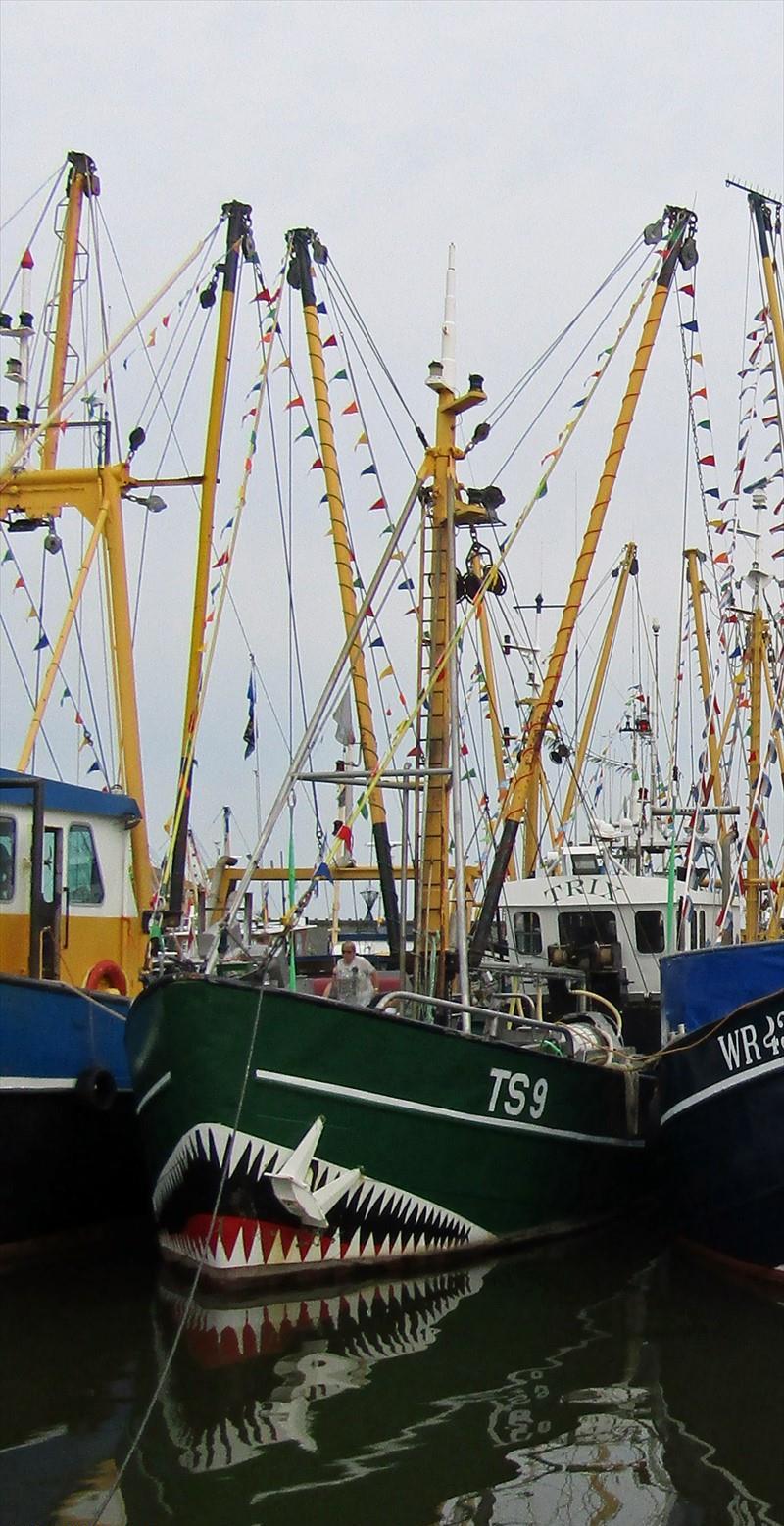 TS 9TRIX - Vesseljoin