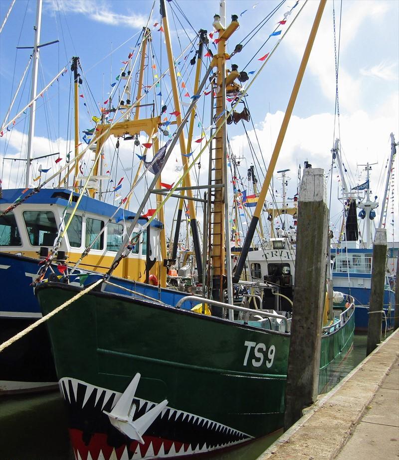 TS 9TRIX - Vesseljoin