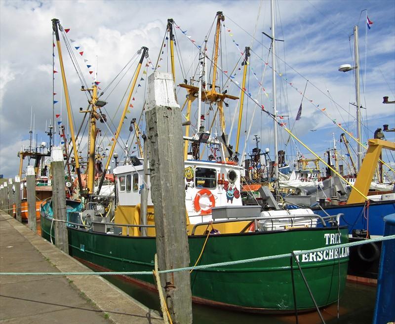 TS 9TRIX - Vesseljoin