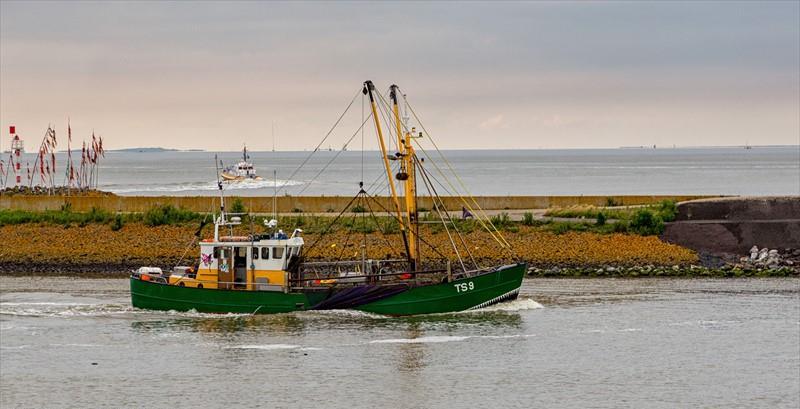 TS 9TRIX - Vesseljoin