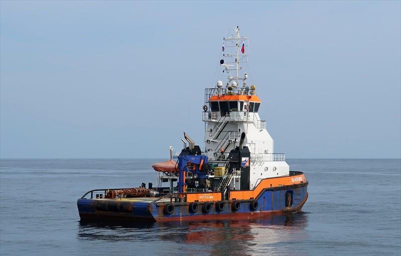 BLACKBIRD - Vesseljoin