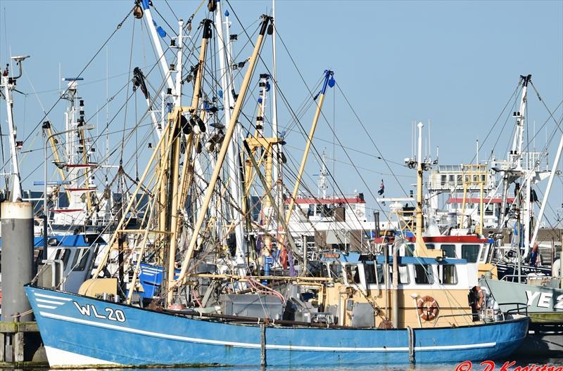 PIETER KEES - Vesseljoin