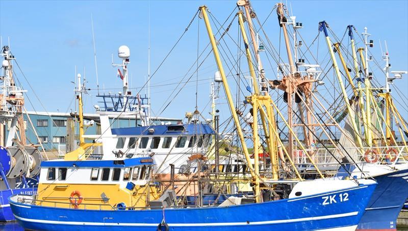 ZK 12PIETER DION - Vesseljoin