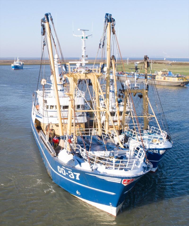 EBEN HAEZER - Vesseljoin