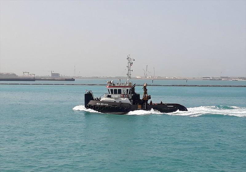 SEA BELUGA - Vesseljoin