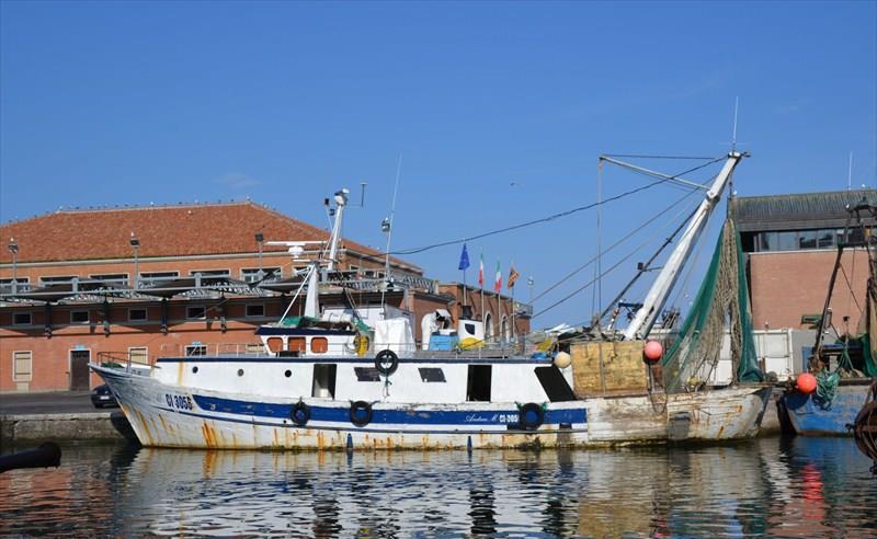 ANDREA M - Vesseljoin