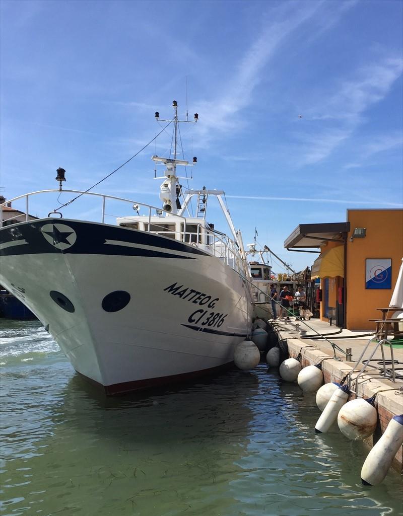 MATTEO G - Vesseljoin