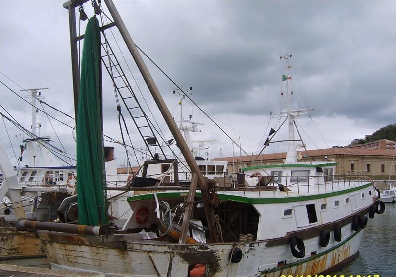 NUOVA PRIMULA ROSSA - Vesseljoin