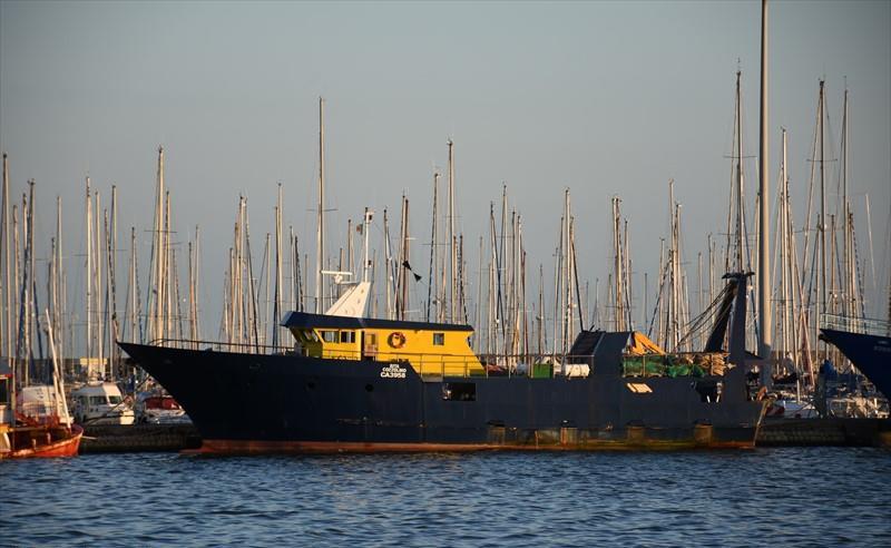 RITA COZZOLINO - Vesseljoin