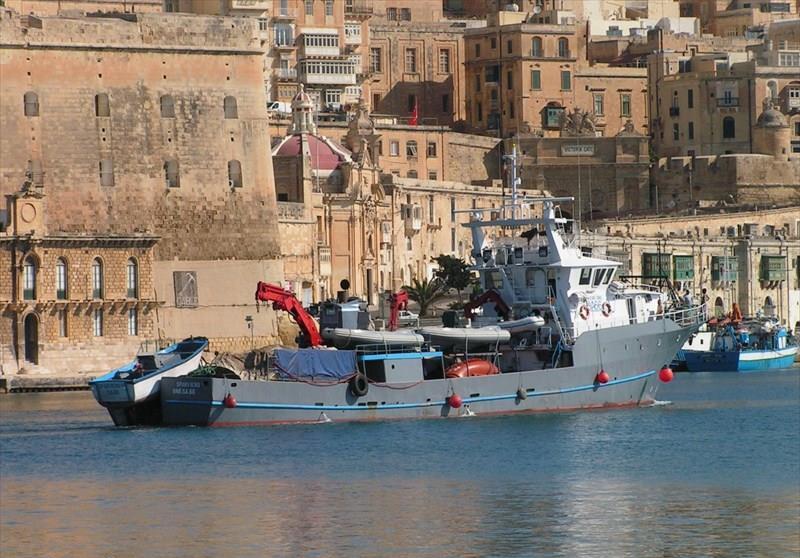 SPARVIERO - Vesseljoin