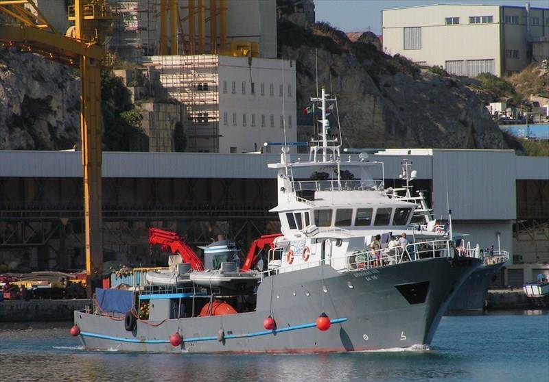 SPARVIERO - Vesseljoin