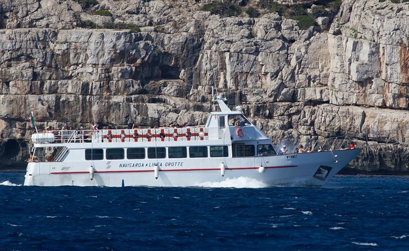 DELPHINUS - Vesseljoin