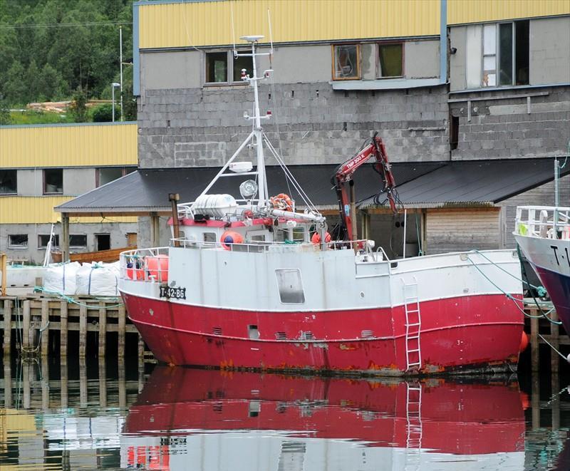 N. BEN HUR - Vesseljoin