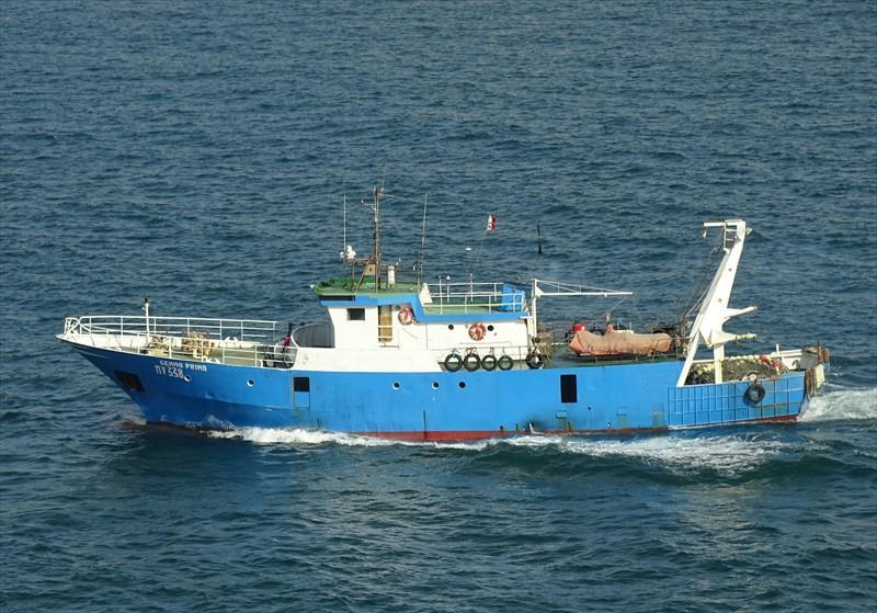 GEMMA PRIMA - Vesseljoin