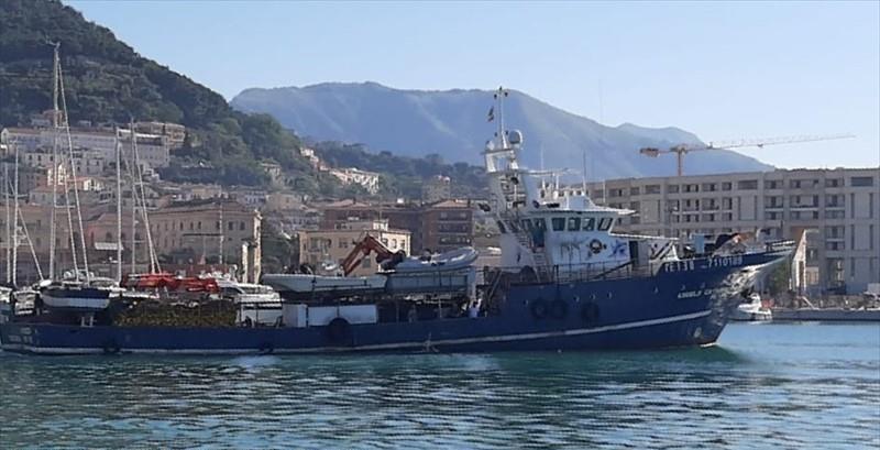 ANGELO CATANIA - Vesseljoin