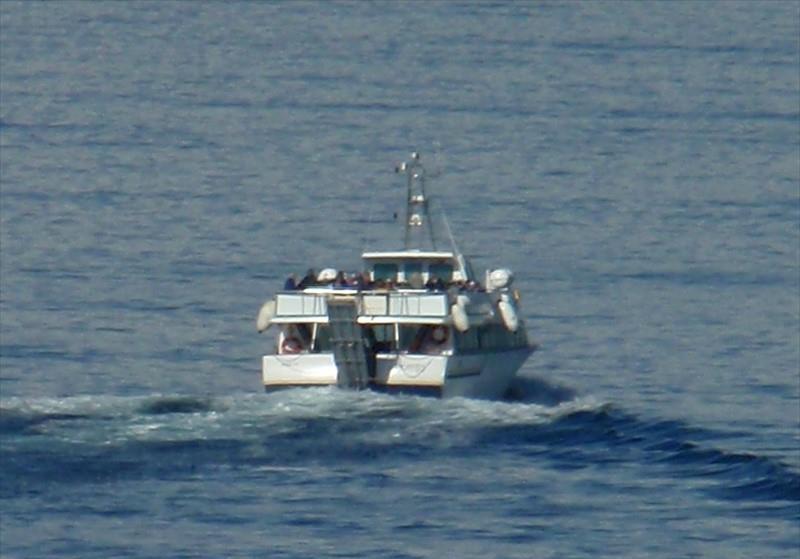 PICASSO - Vesseljoin