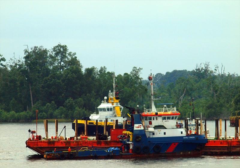 IEVOLI GREEN - Vesseljoin