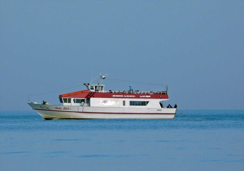 MOBY DICK II - Vesseljoin