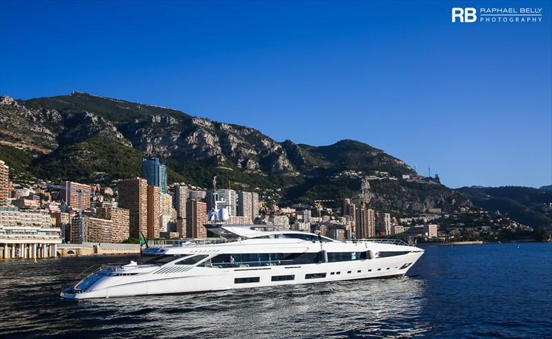 EL LEON - Vesseljoin