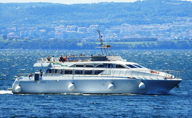 DELFINO VERDE GOLD - Vesseljoin