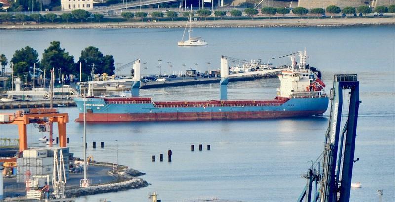 CDRY BROWN - Vesseljoin