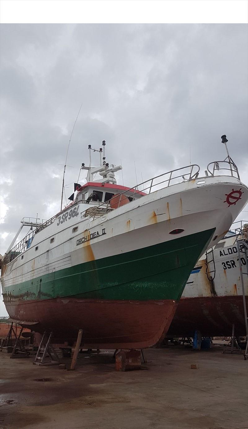 ORCHIDEA II - Vesseljoin