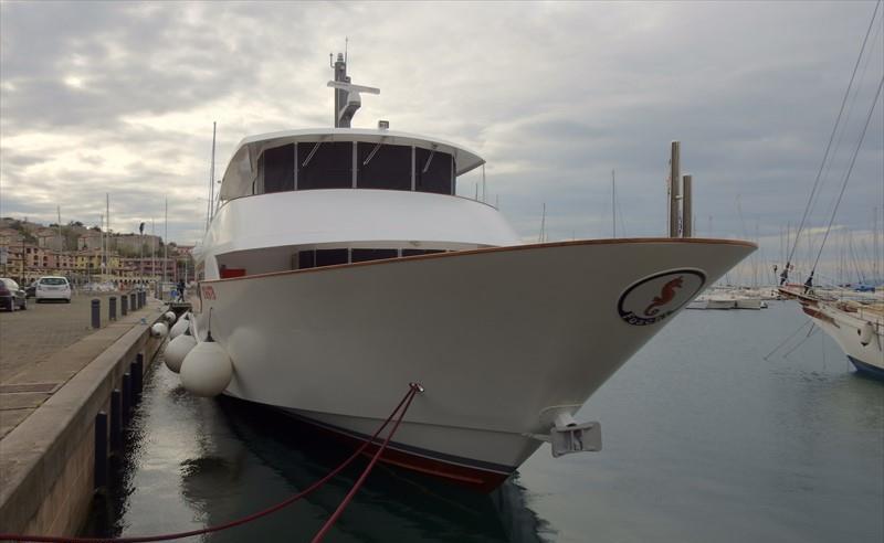 DELFINO VERDE DELUXE - Vesseljoin