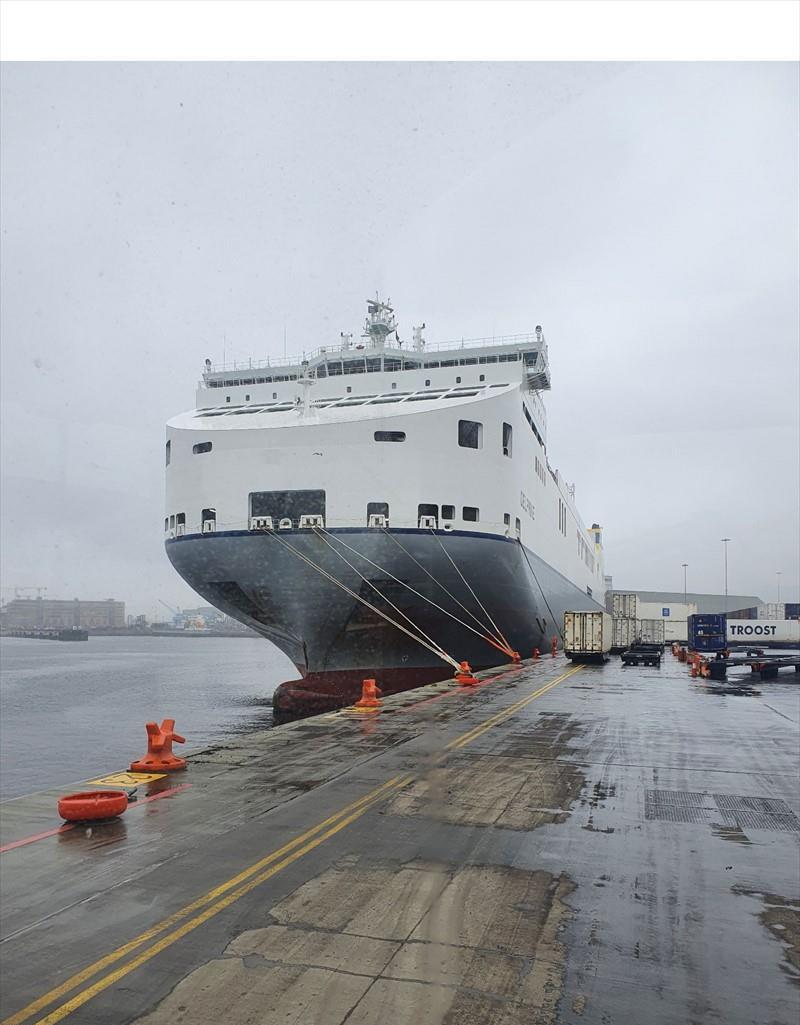 DELPHINE - Vesseljoin