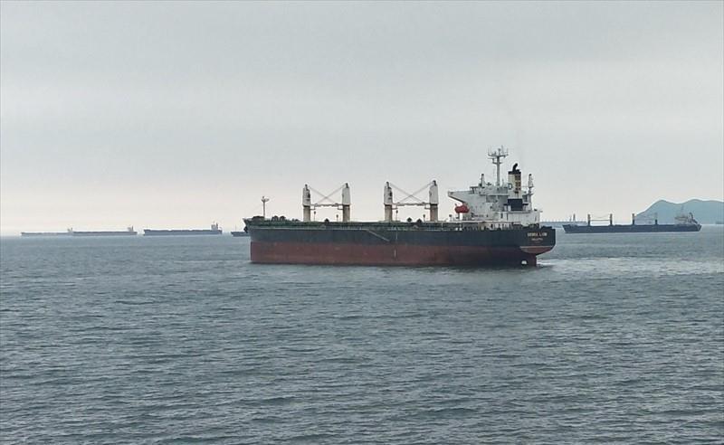 DENSA LION - Vesseljoin