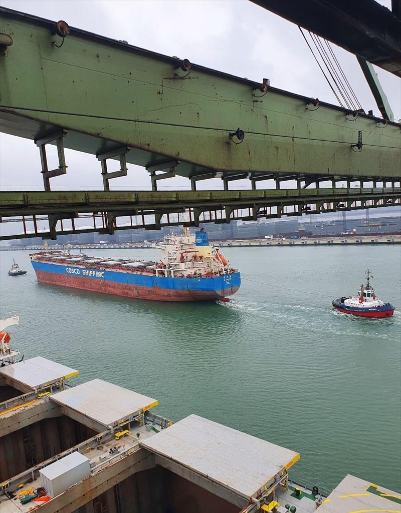 BUFFALO - Vesseljoin