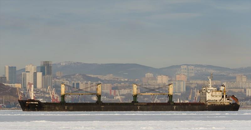 POLA DEVORA - Vesseljoin