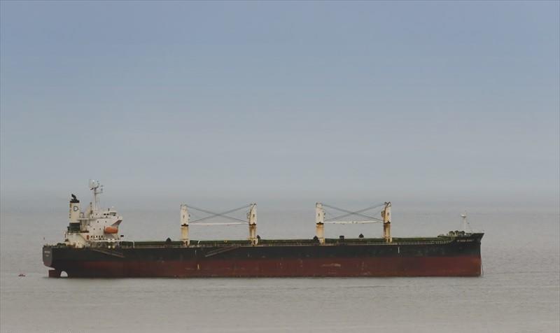 DENSA EAGLE - Vesseljoin