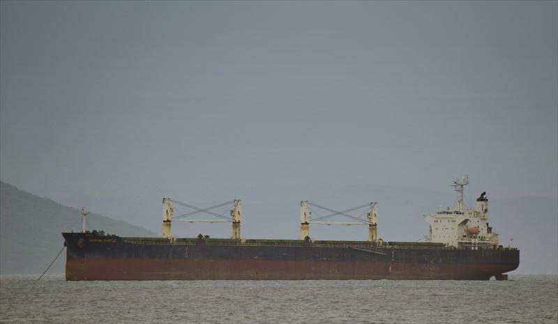 DENSA EAGLE - Vesseljoin