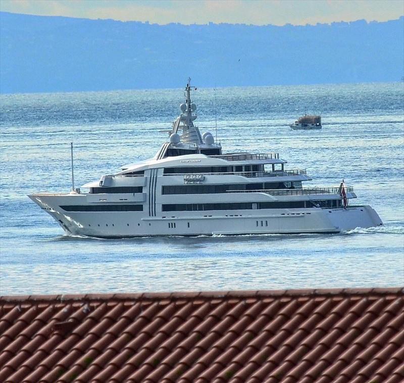 VIBRANT CURIOSITY - Vesseljoin