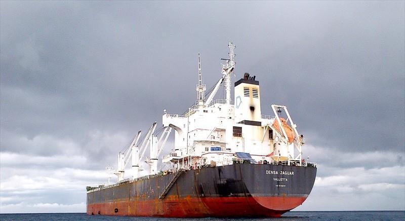 DENSA JAGUAR - Vesseljoin